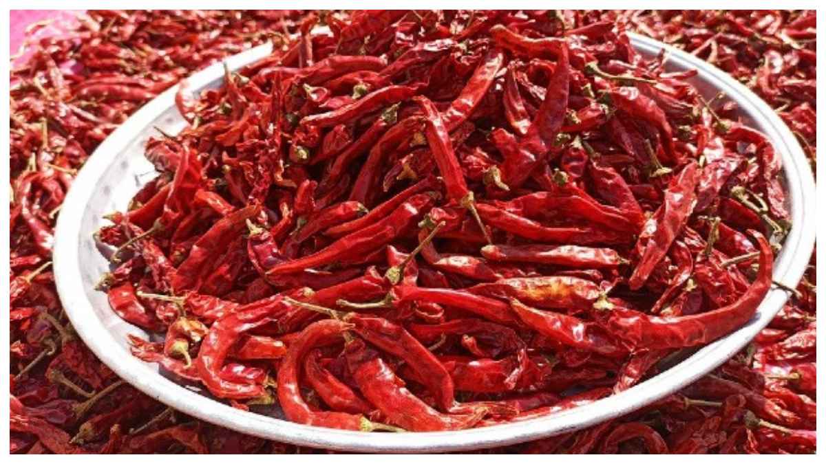 আমূলের পরে এবার মোদী রাজ্যের 'লালি'ও কর্নাটকে বিতর্কের কেন্দ্রে! ক্ষতির ...