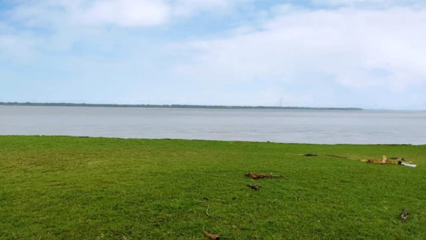 Travel: বর্ষায় উথলে ওঠা নদী, সবুজ ঘাসের গালিচা পাতা বেনাপুর চরে ...