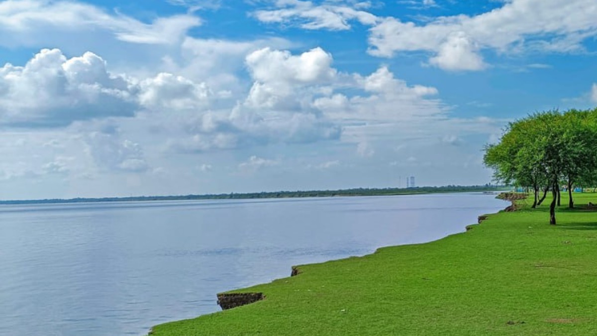 Travel: বর্ষায় উথলে ওঠা নদী, সবুজ ঘাসের গালিচা পাতা বেনাপুর চরে ...