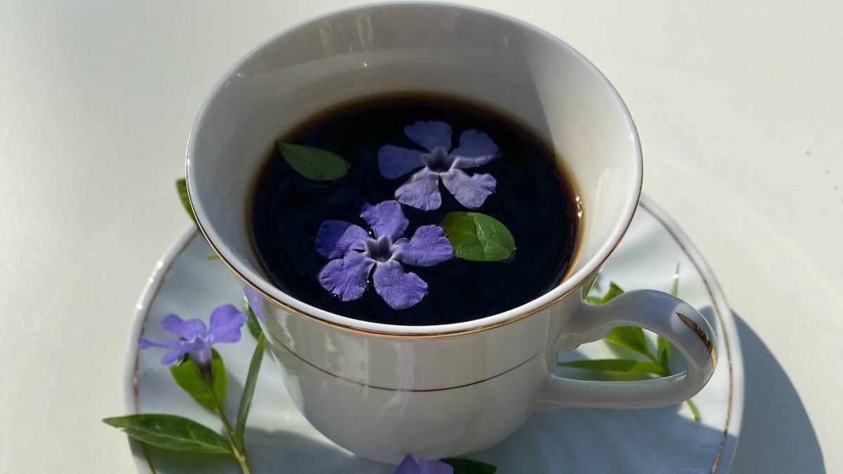 Blue Tea Benefits: এই ফুলের চা খেয়ে ডায়াবেটিসকে রাখুন নিয়ন্ত্রণে ...