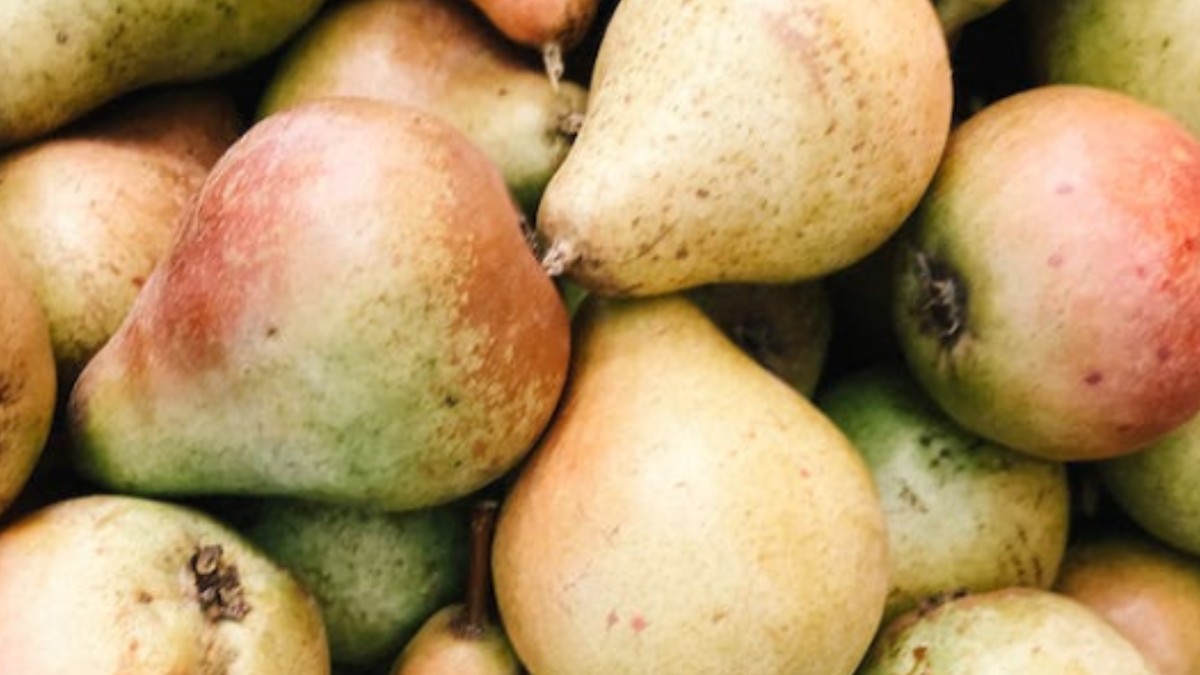 Benefits Of Pears: সুগার থেকে ওজন নিয়ন্ত্রণে রাখতে আপনিও রোজ খেতে ...