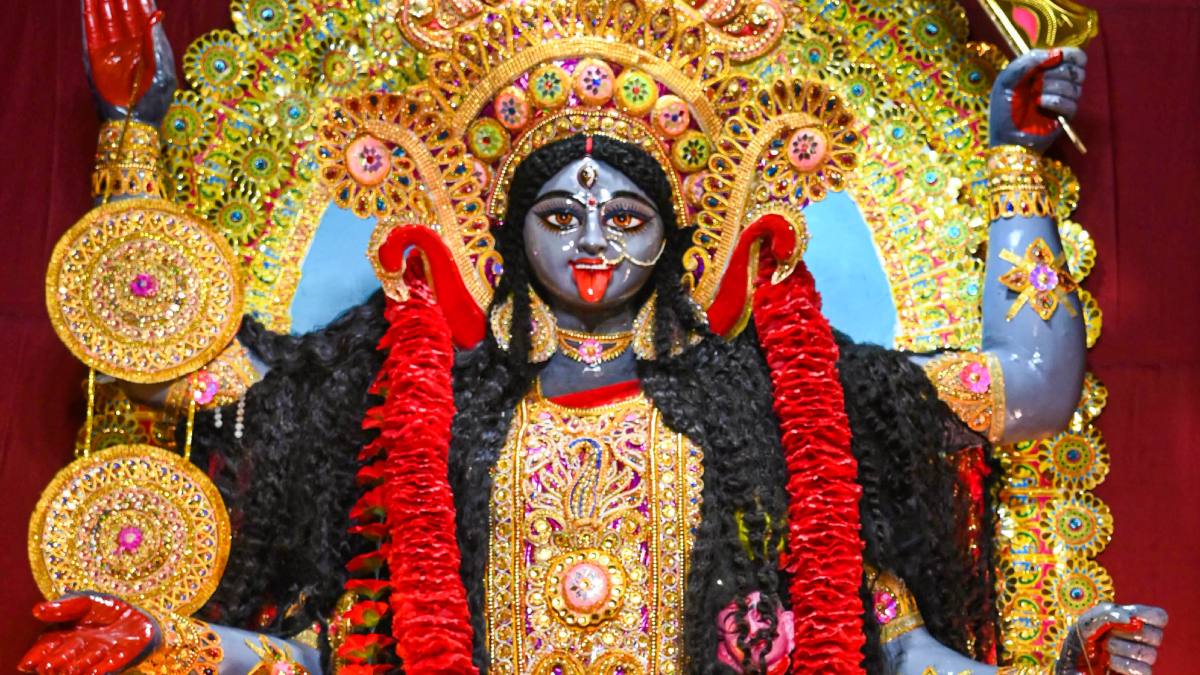 Kali Puja 2023: পুরোহিত দক্ষিণা নিলে পুজো সম্পন্ন হয় না, কলকাতার কাছেই ...