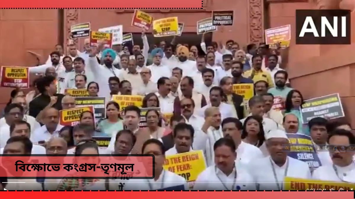 Parliament Session 2024: এজেন্সির অপব্যবহার নিয়ে বিক্ষোভে তৃণমূল ...